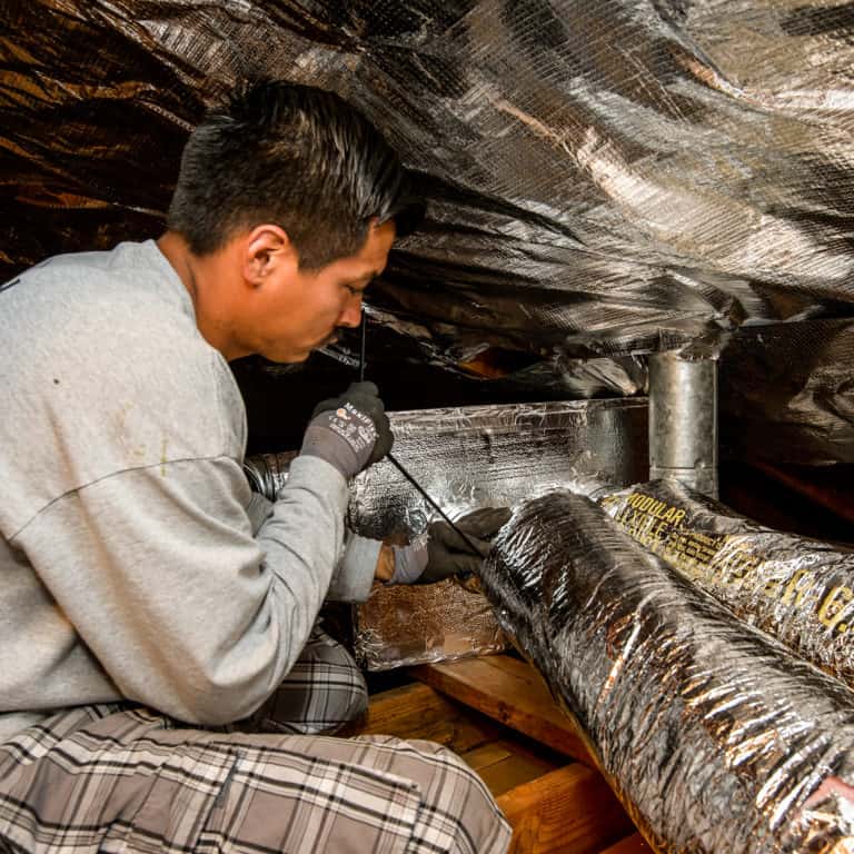 Attic Decontamination and Attic Sanitizing | Local Attic Cleaning and ...