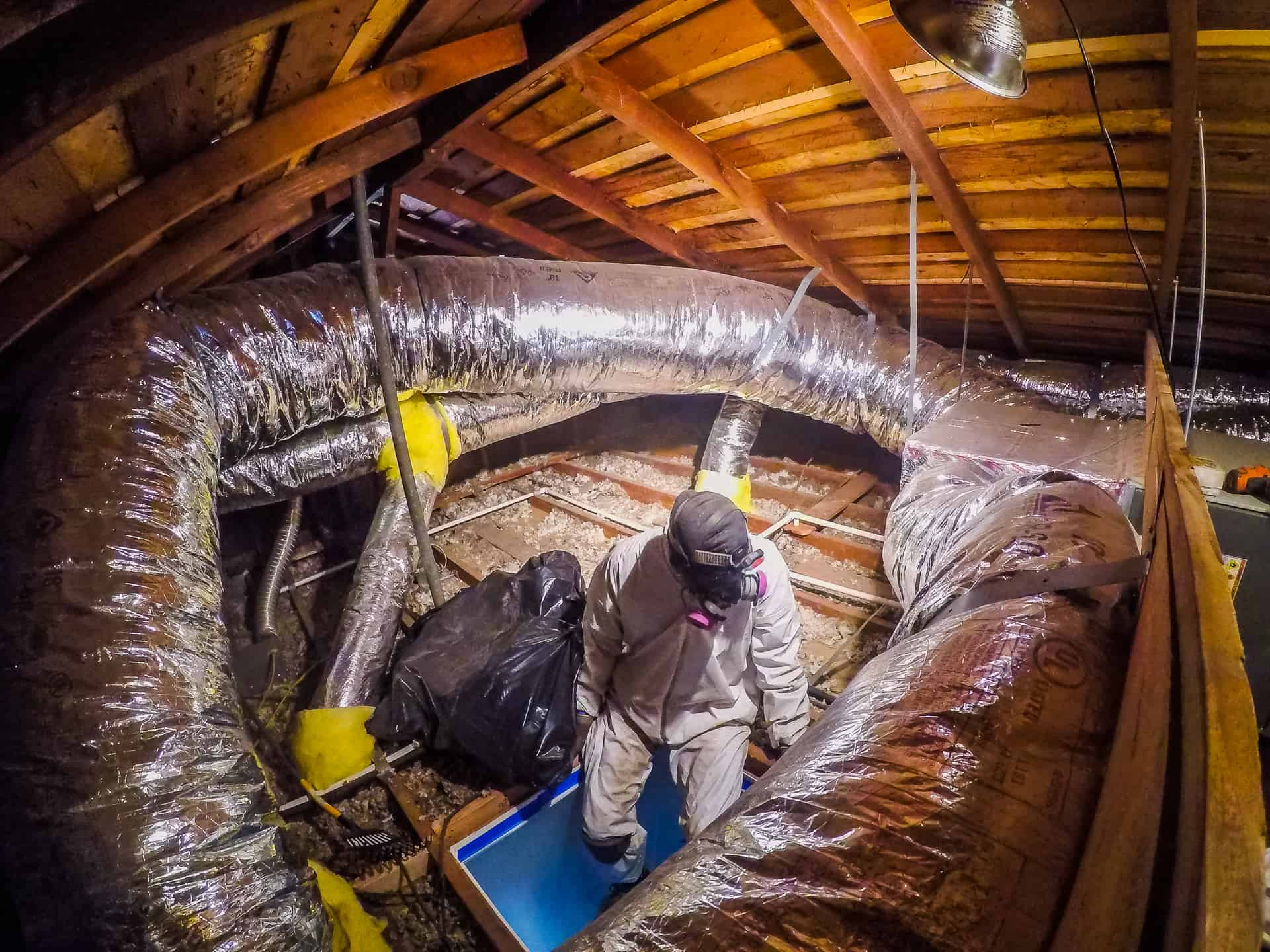 Attic Insulation Removal | Local Attic Cleaning and Insulation Removal ...